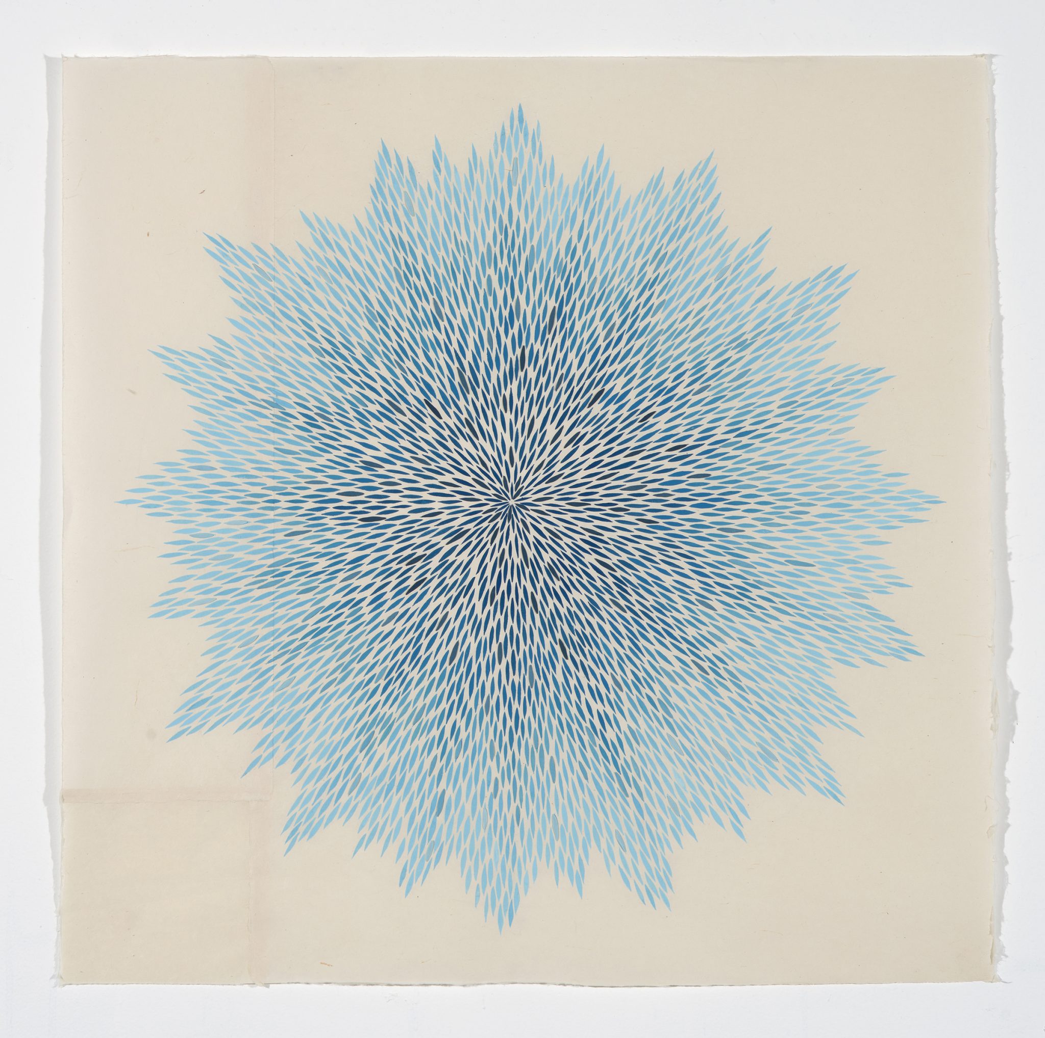 Lucent Series – Dharma Strasser MacColl